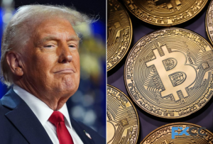 The Rise of Trump Coin: Exploring Its Impact on Cryptocurrency Markets ...