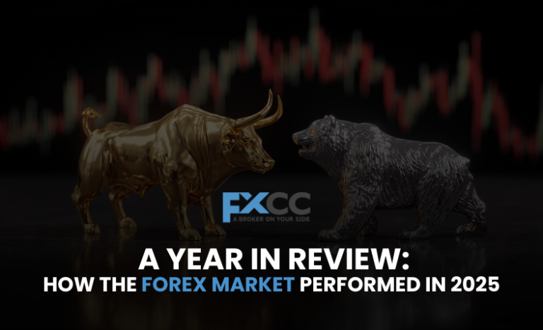 A Year in Review: How the Forex Market Performed in 2025 | Forex ...